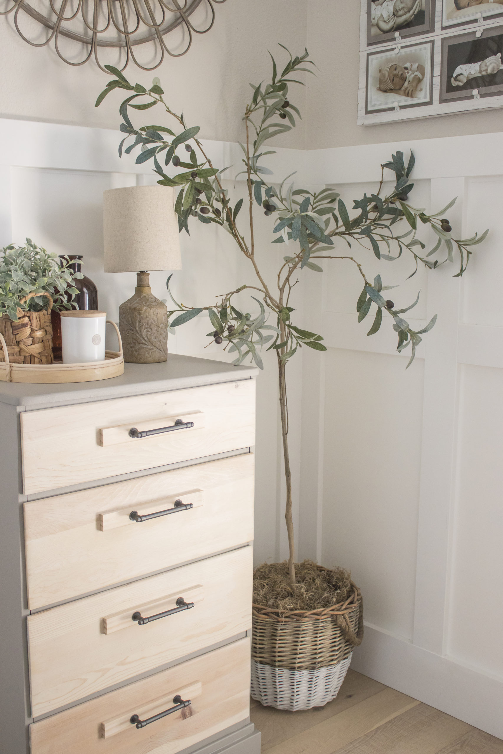 DIY Olive Tree